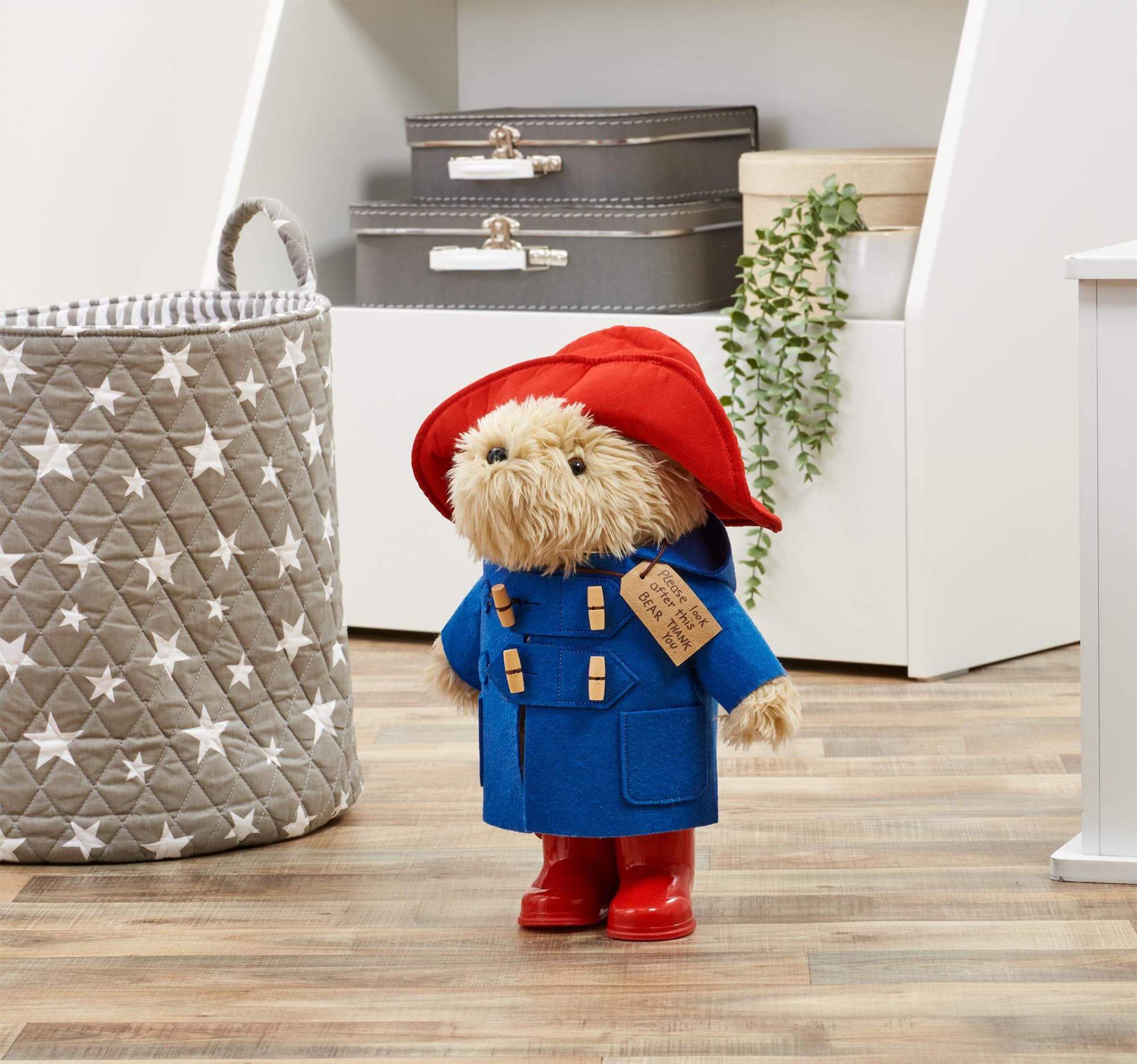 Plush Toys — Paddington Store