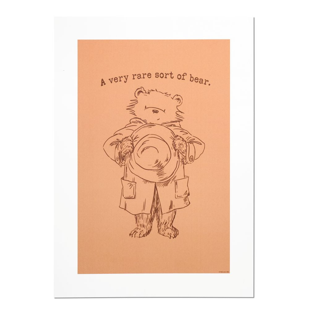 'A Very Rare Sort of Bear' Paddington Sketch Poster A4 | Kids Wall Art ...
